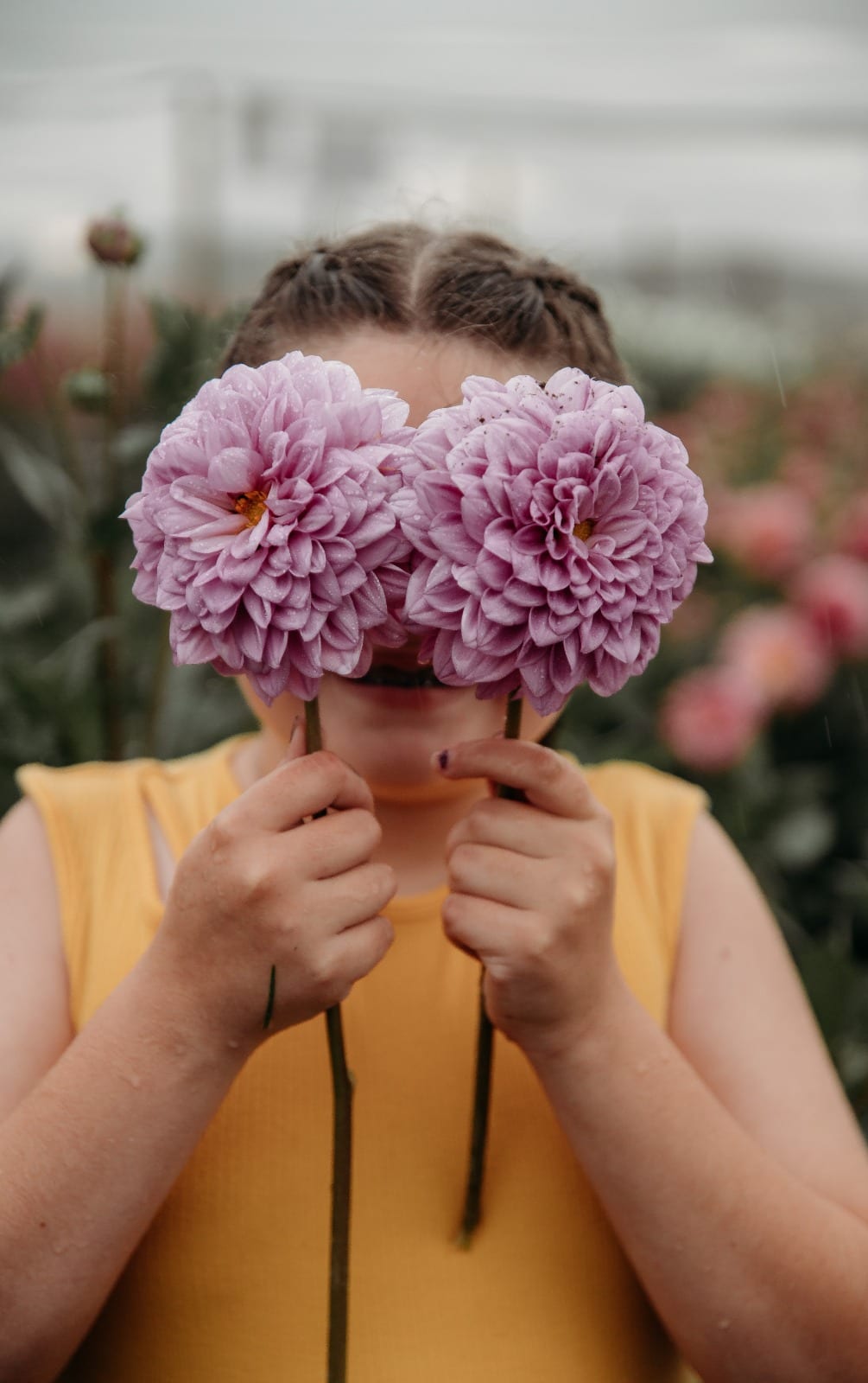 Bethany Blooms | Cut & Pressed Flowers